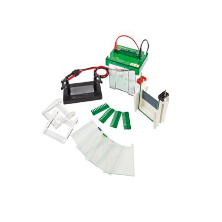 VGE10X10D Mini-Protean Electrophoresis Cell(Vertical- Electrophoresis ...